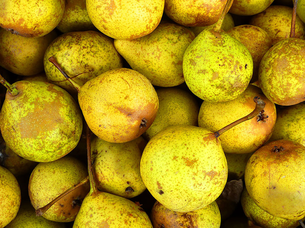 About Us – Barbourne Cider